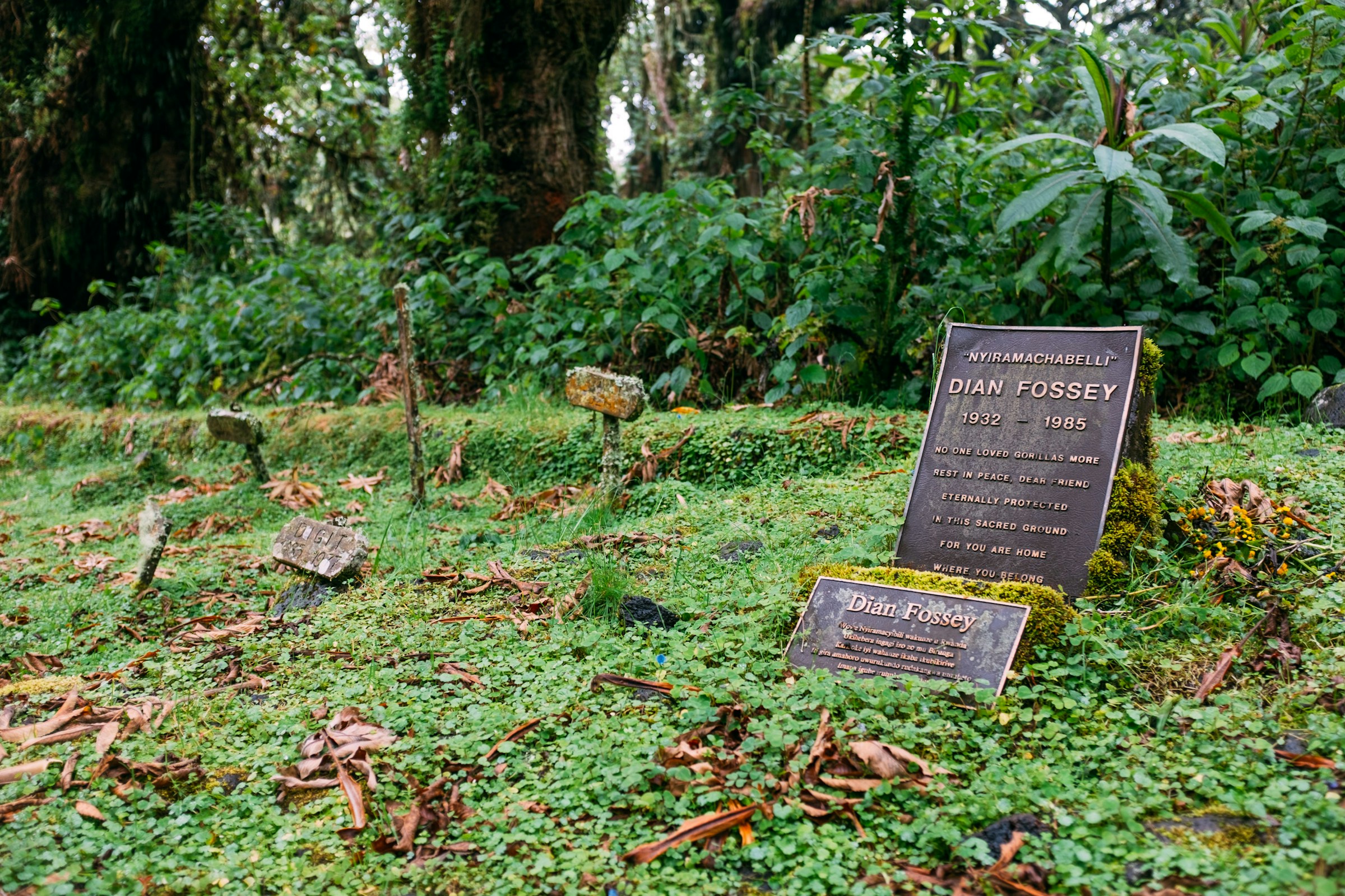 Dian Fossey Gravesite in Rwanda
